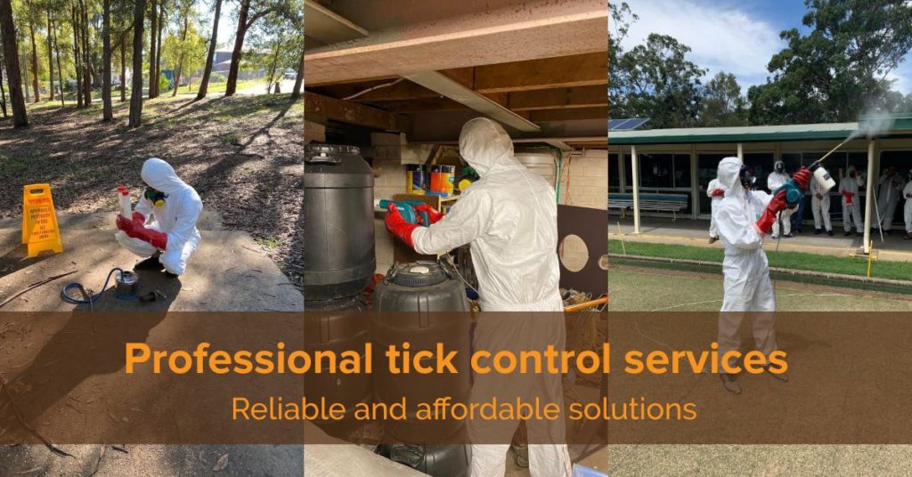 Ticks Control Marmong Point - Alpha Pest Control