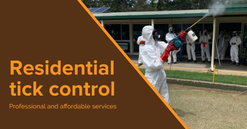 Ticks Control Shoalhaven Heads - Alpha Pest Control