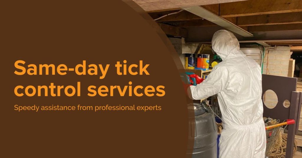 Ticks Control Avalon Beach - Alpha Pest Control