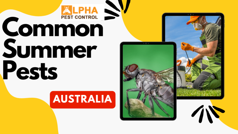 Common Summer Pests in Australia - Alpha Pest Control